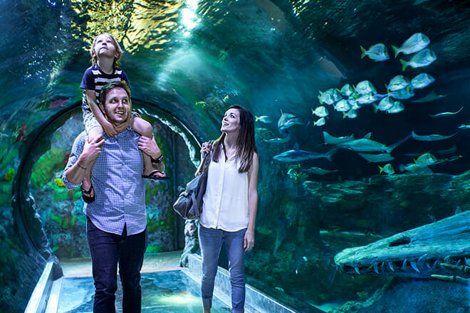 SEA LIFE Grapevine Aquarium