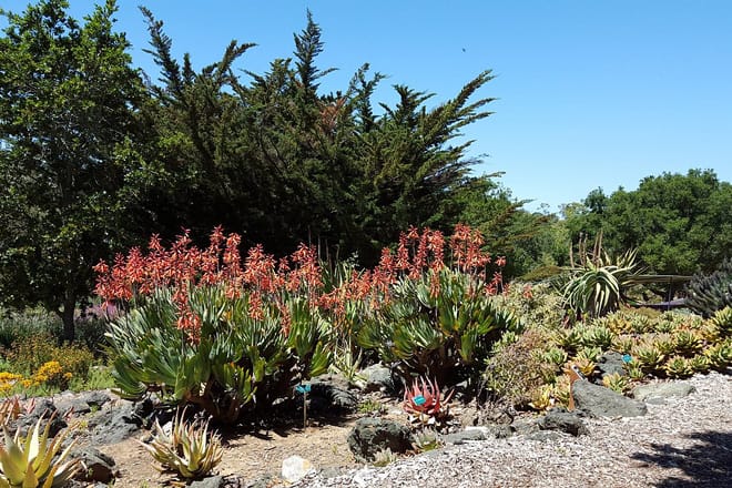San Luis Obispo Botanical Garden
