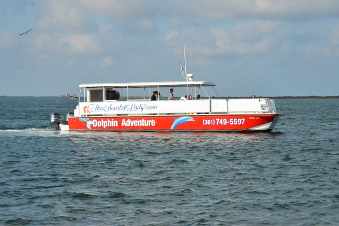 Scarlet Lady Dolphin Adventures