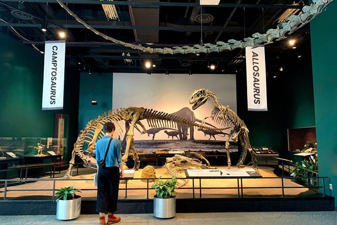 Science Museum of Minnesota