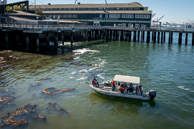 Seattle Aquarium