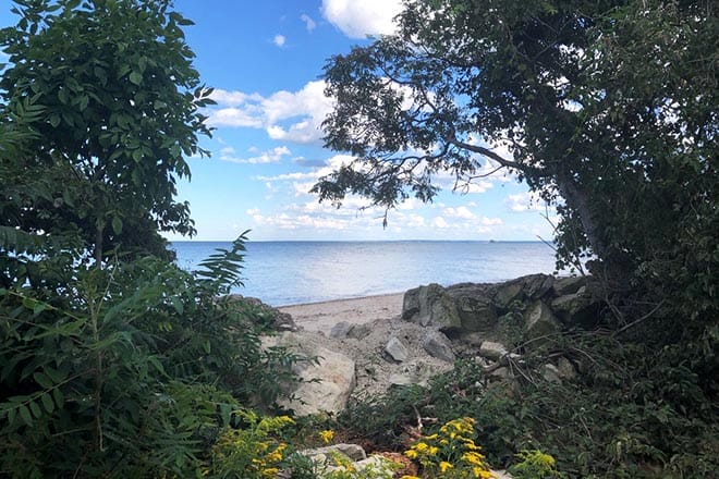 sheldon marsh state nature preserve