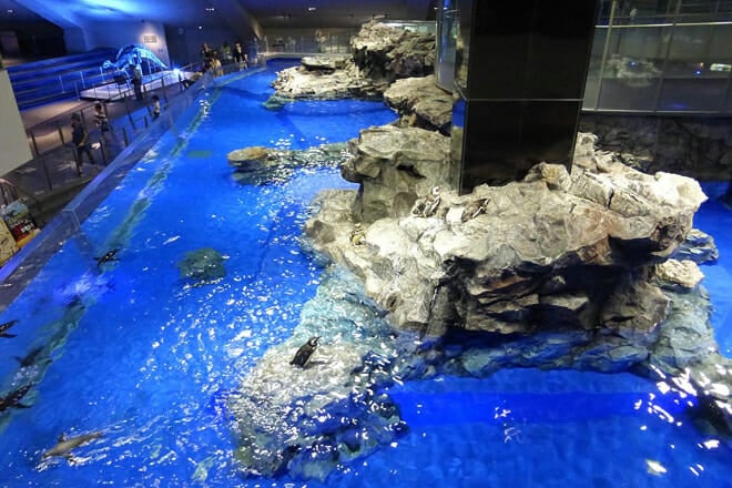Sumida Aquarium