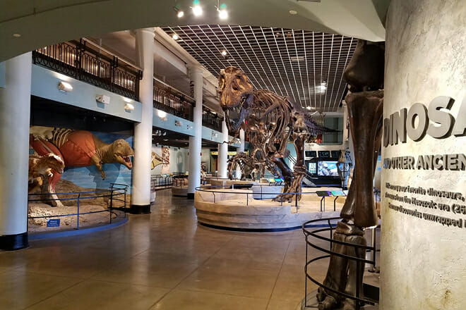 The Academy of Natural Sciences of Drexel University