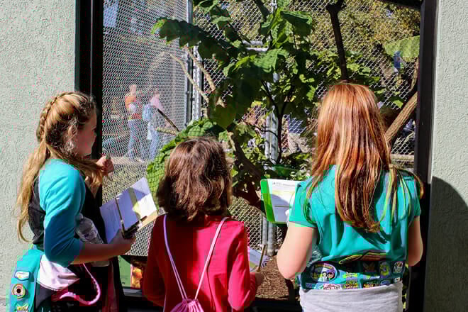 The Chattanooga Zoo at Warner Park