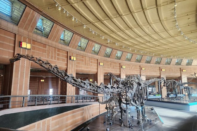 The Children's Museum