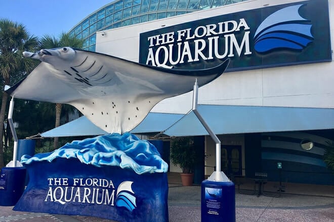 The Florida Aquarium