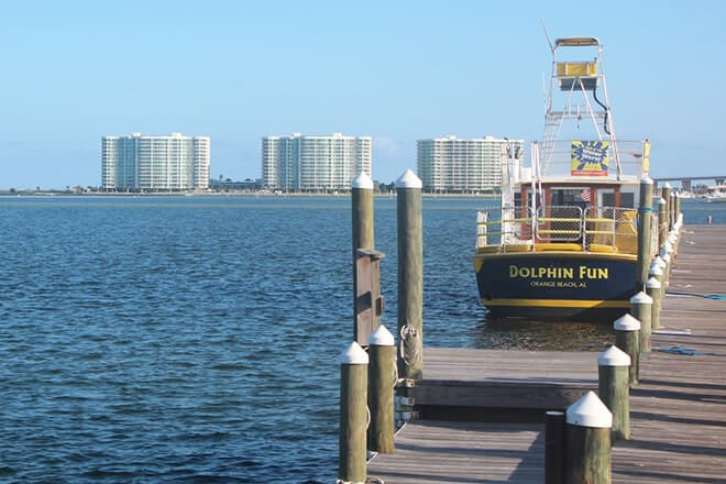 The Fun Boats Dolphin Cruises