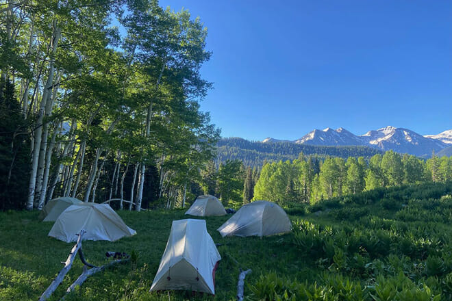 The Telluride Academy