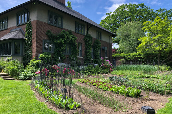 Toronto Botanical Garden