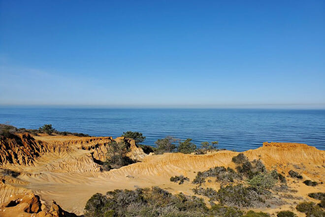 Torrey Pines State Natural Reserve