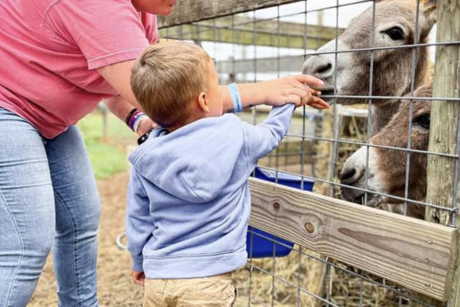 Trunnell's Farm Market & Experience