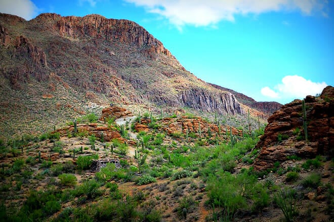 Tucson Mountain Park