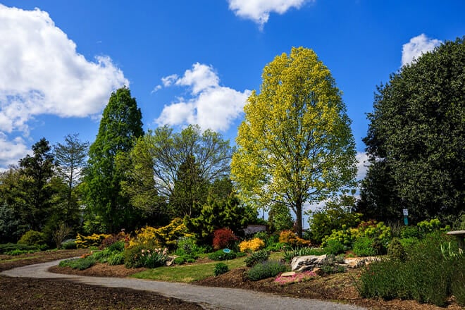 ut gardens knoxville