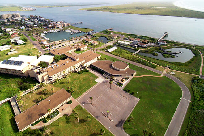 University Of Texas Marine Science Institute