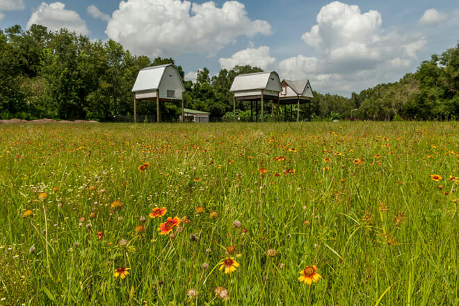University of Florida Bat Houses