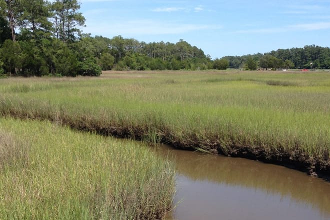 Vereen Memorial Gardens