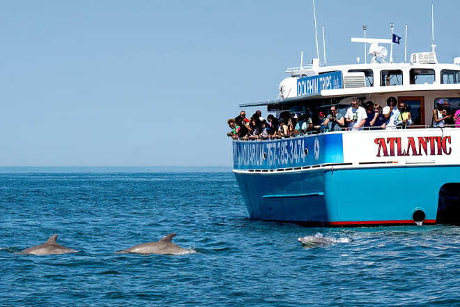 Virginia Aquarium Boat Trips