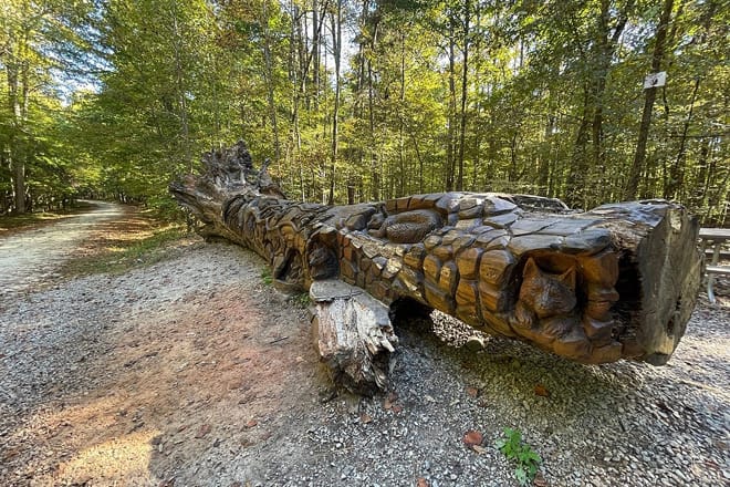 William B. Umstead State Park