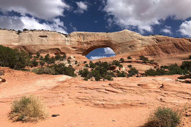 Wilson's Arch