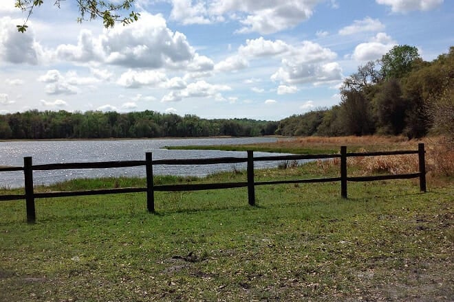 Withlacoochee State Forest