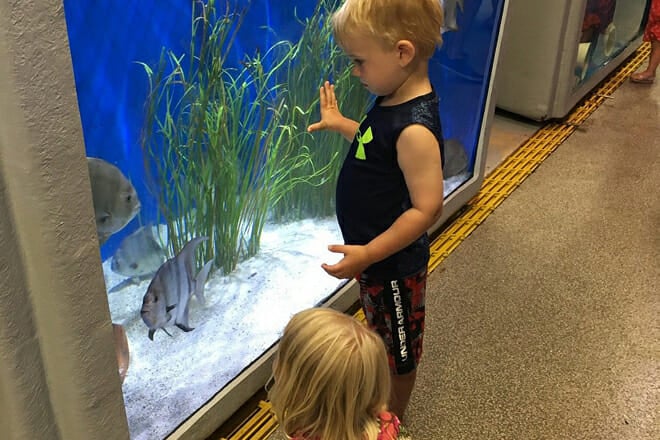 Woods Hole Science Aquarium