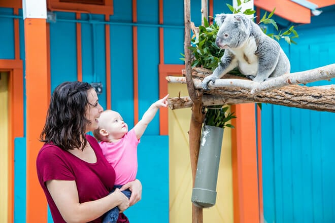 ZooTampa at Lowry Park