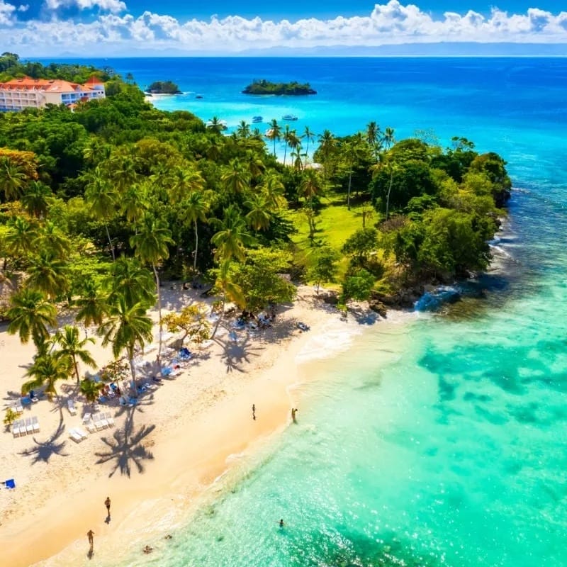 aerial view of lush trees and blue water in dominican republic