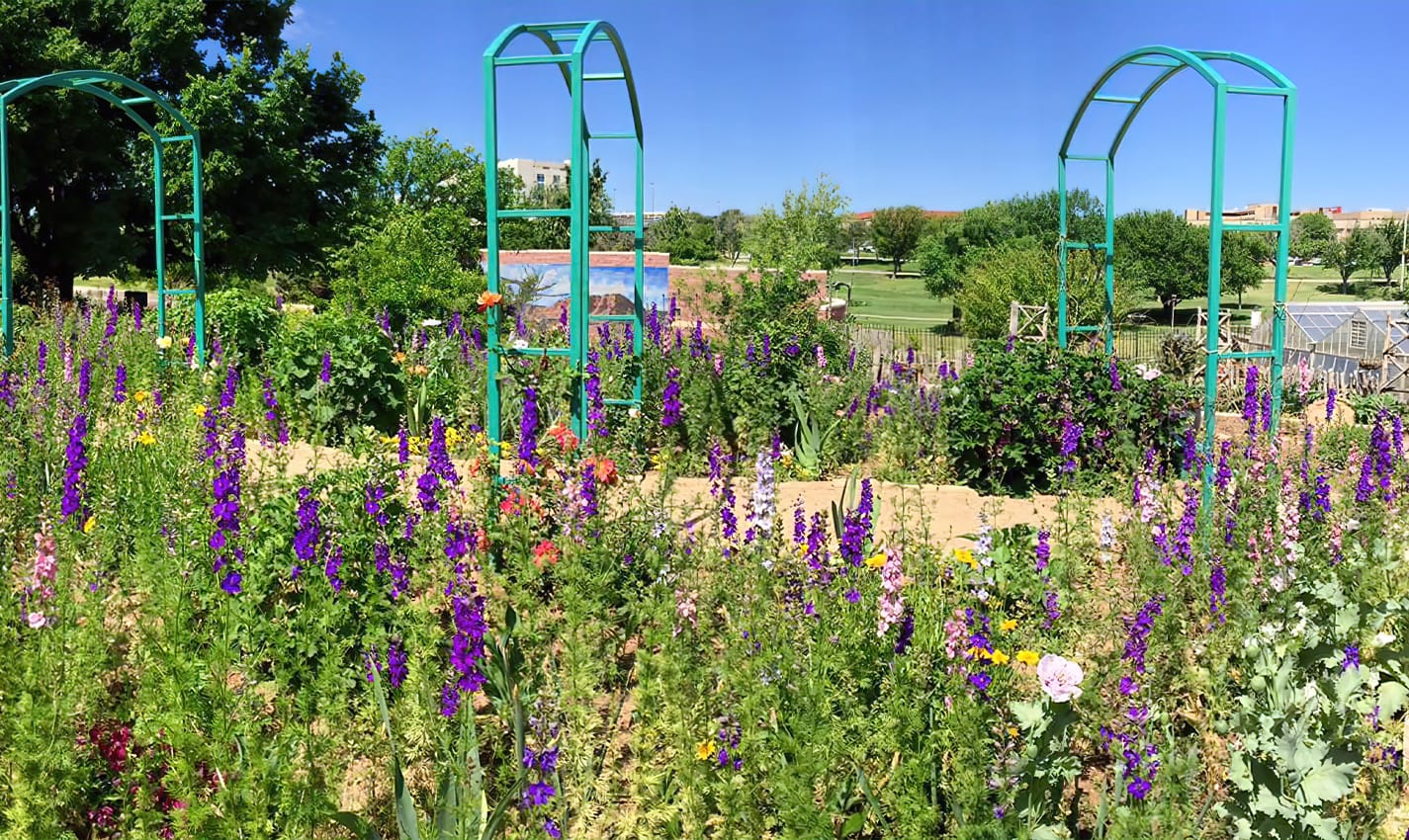 romantic things to do in amarillo for couples