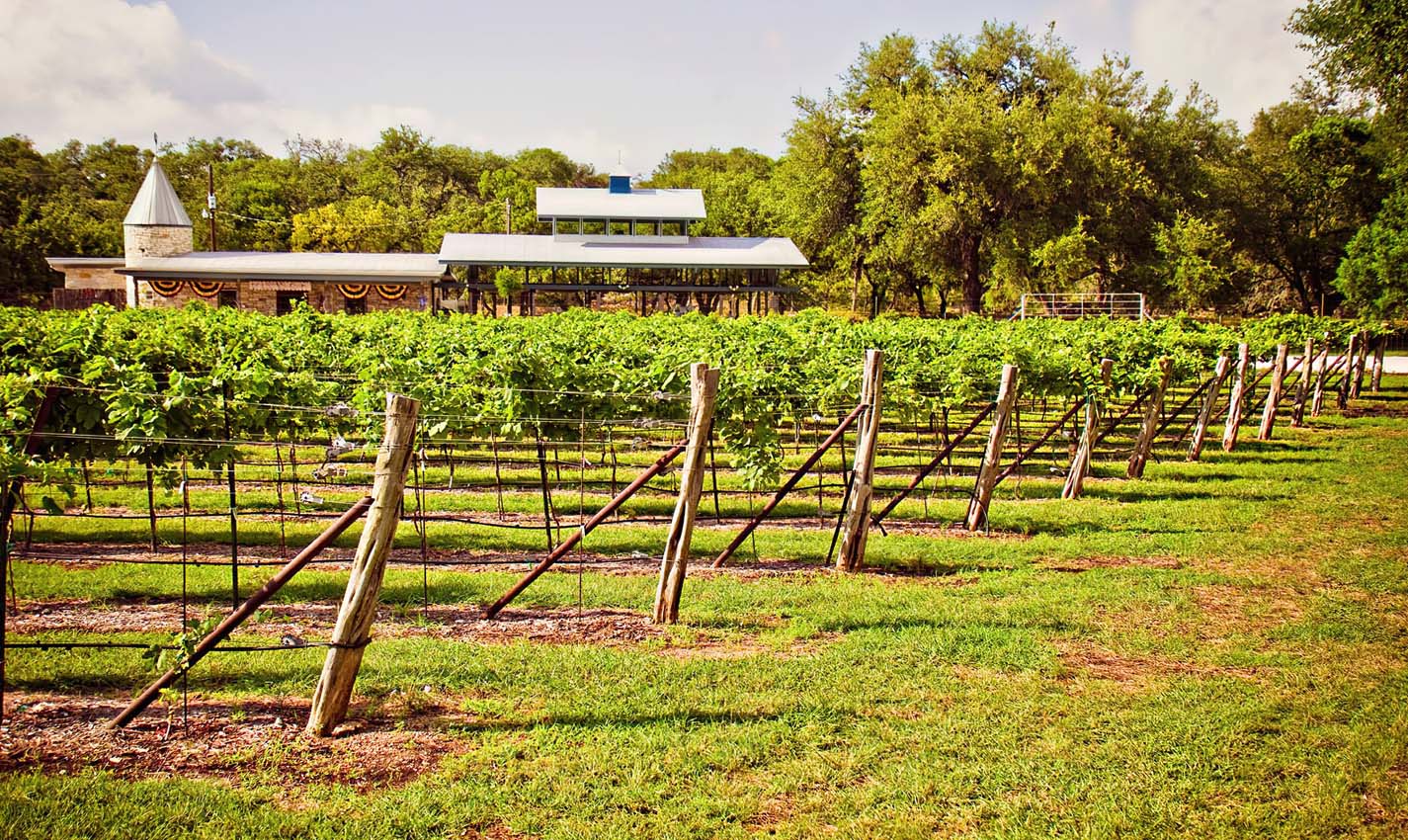 romantic things to do in new braunfels for couples