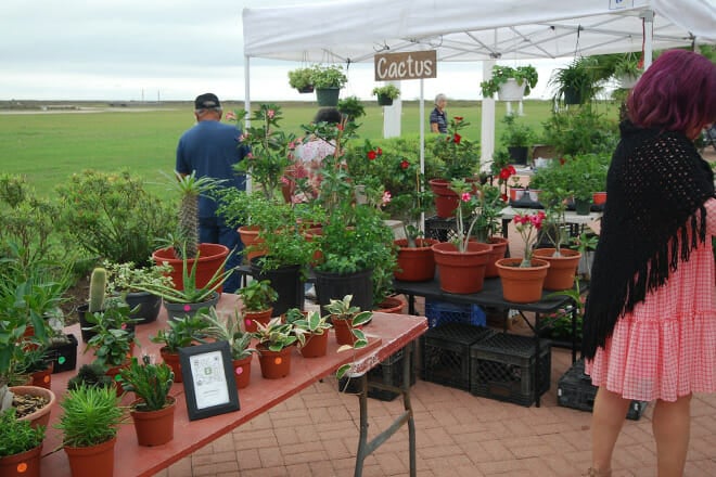 South Padre Island Farmers' Market