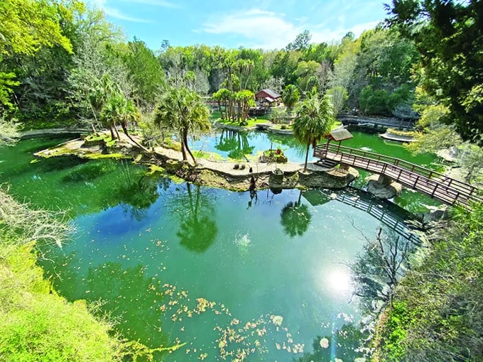 Emerald waters mirror the sky at Cedar Lakes Woods and Gardens, where an abandoned quarry transformed into Florida's most enchanting botanical wonderland.