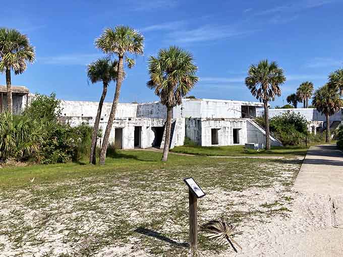 Welcome to your new favorite island escape, where history and nature throw the most interesting party in the Gulf.