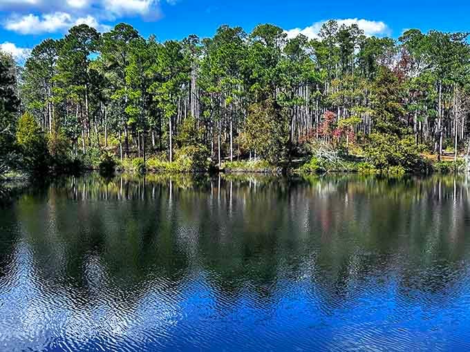 That mirror-perfect reflection makes you wonder if you're looking at the real world or its twin, like nature installed a giant mirror just to show off.