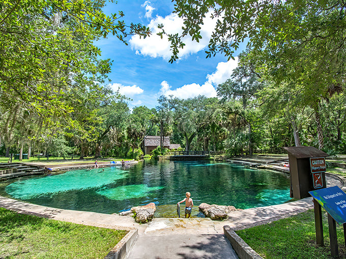 Nature's own infinity pool nestled in Ocala National Forest, where emerald waters meet ancient cypress in perfect harmony.