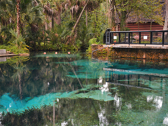 Juniper Springs' impossibly turquoise waters look like nature's version of a swimming pool, complete with palm tree backdrop and zero chlorine smell.
