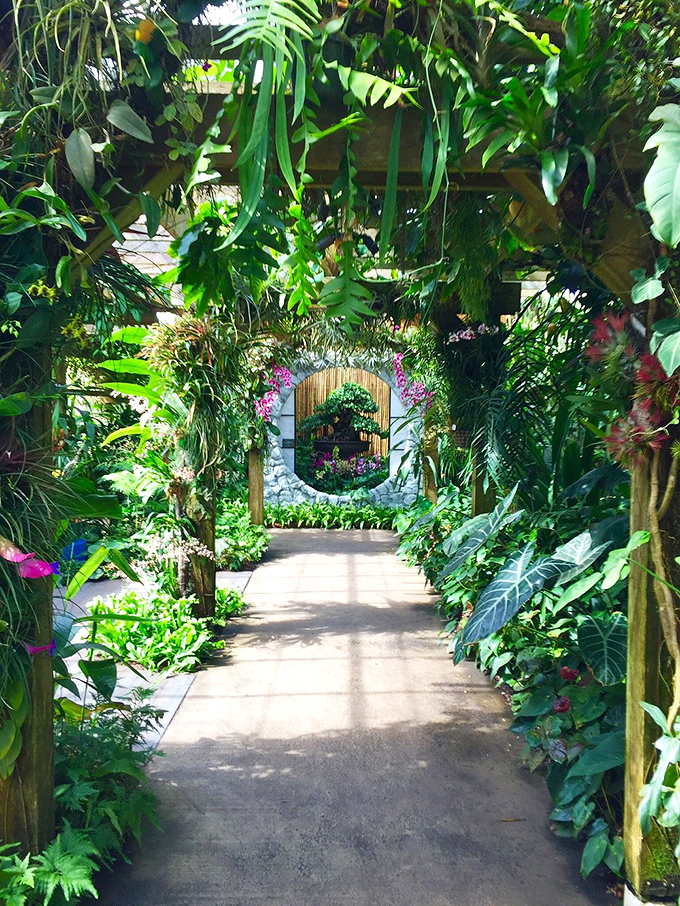 Nature's hallway beckons with a magical moon gate at the end. Like stepping into a secret garden where even plant-killers feel momentarily competent.