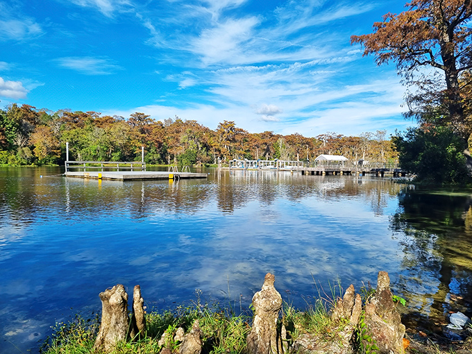 Nature's masterpiece on display – where 250 million gallons of crystal water daily create Florida's most spectacular liquid theater.