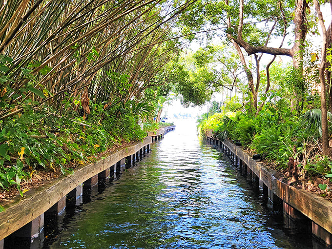 Nature's corridor beckons as sunlight dapples through the dense foliage, creating a magical tunnel effect on Winter Park's hidden waterways.