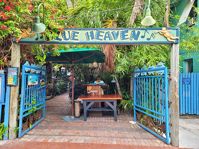 Welcome to paradise! Blue Heaven's iconic entrance beckons with musical notes and tropical promise.