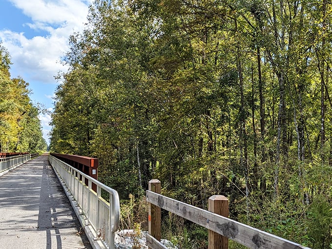 Wooden boardwalks stretch into the distance, creating nature's red carpet through Rice Creek's lush forest canopy.
