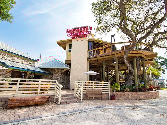 Norwood's exterior welcomes visitors with its distinctive treehouse structure wrapped around ancient oaks, promising a dining adventure unlike any other in New Smyrna Beach.