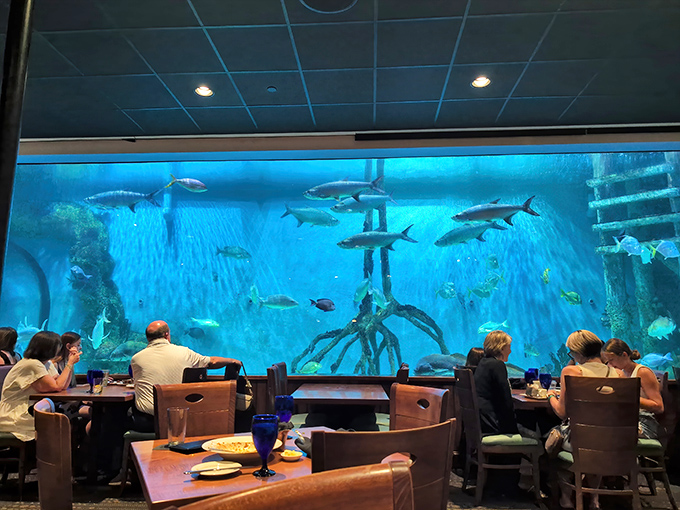 Dining beside the massive aquarium creates an immersive experience &ndash; those fish are practically joining you for dinner!