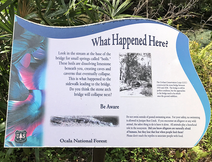 History comes alive at the spring, where informational signs explain the geological wonders happening beneath your feet as you swim.