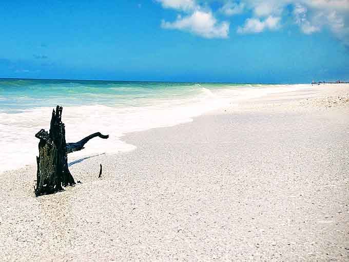 Miles of untouched white sand and not a beach chair rental kiosk in sight, which is basically what Florida looked like before someone invented timeshares.