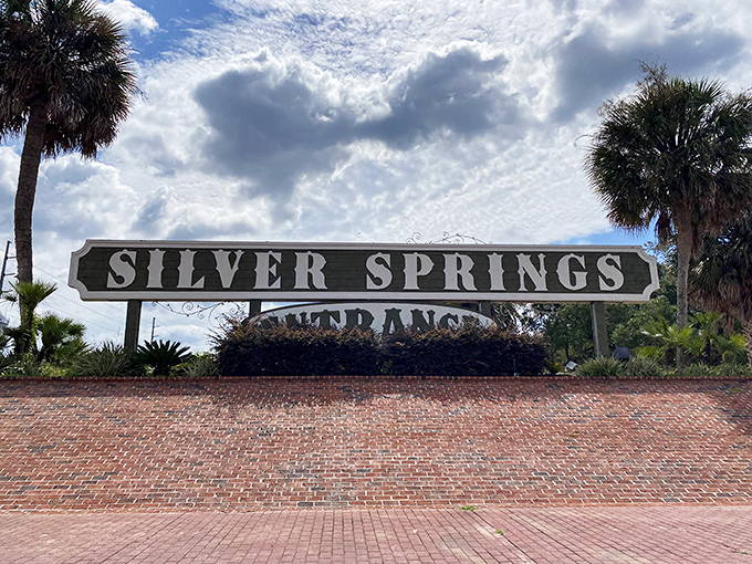 The entrance sign stands as a promise of adventure, framed by Florida's iconic palm trees and brilliant blue skies.