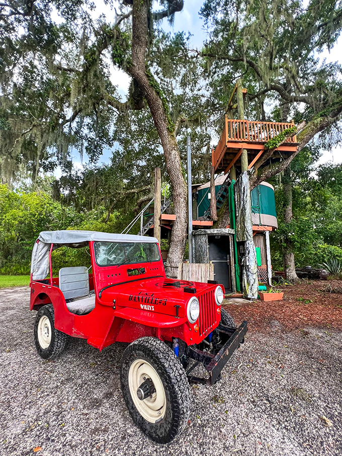 Daytime reveals the treehouse's ingenious design &ndash; a cylindrical haven nestled among ancient oaks where architectural innovation meets childhood fantasy.