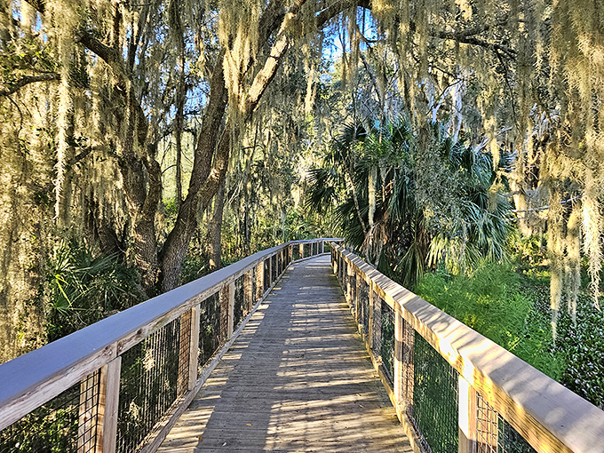The trail's thoughtful design features mesh railings that provide safety without sacrificing views &ndash; wilderness with a side of practicality.