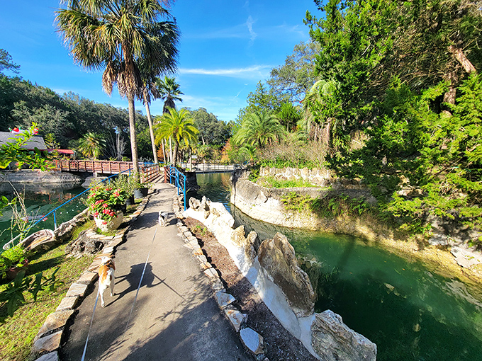 Each pathway promises new discoveries, with this stone-lined trail leading visitors deeper into the garden's emerald embrace.