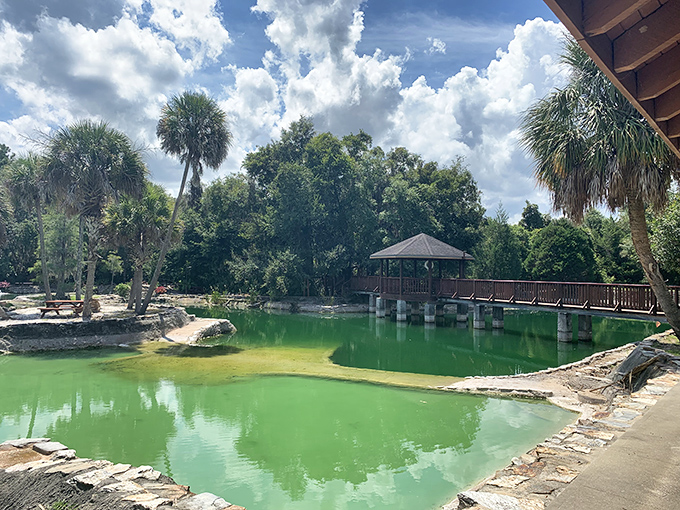 Emerald oasis: The spring-fed pond outside the main cavern offers a different kind of aquatic experience.
